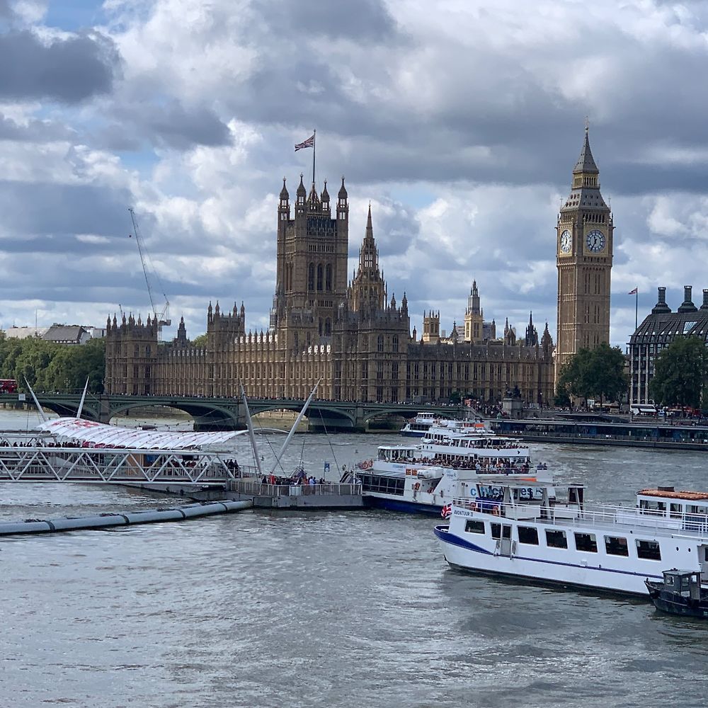 ‎Daniel Castro’s profile • Letterboxd