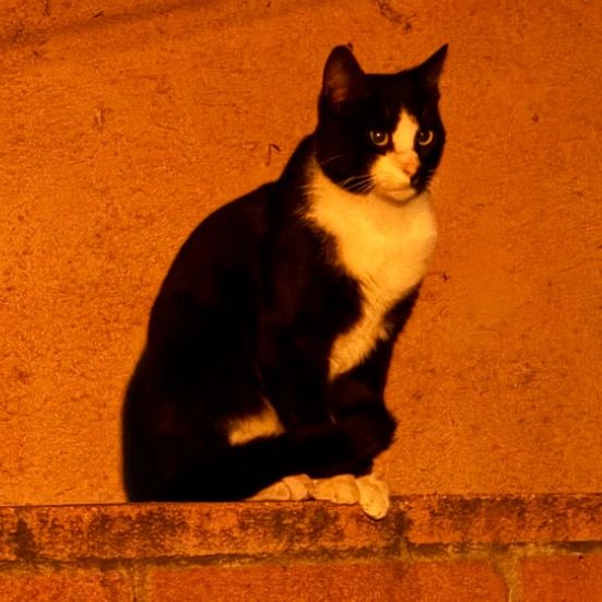 ‎tifftiffs’s profile • Letterboxd