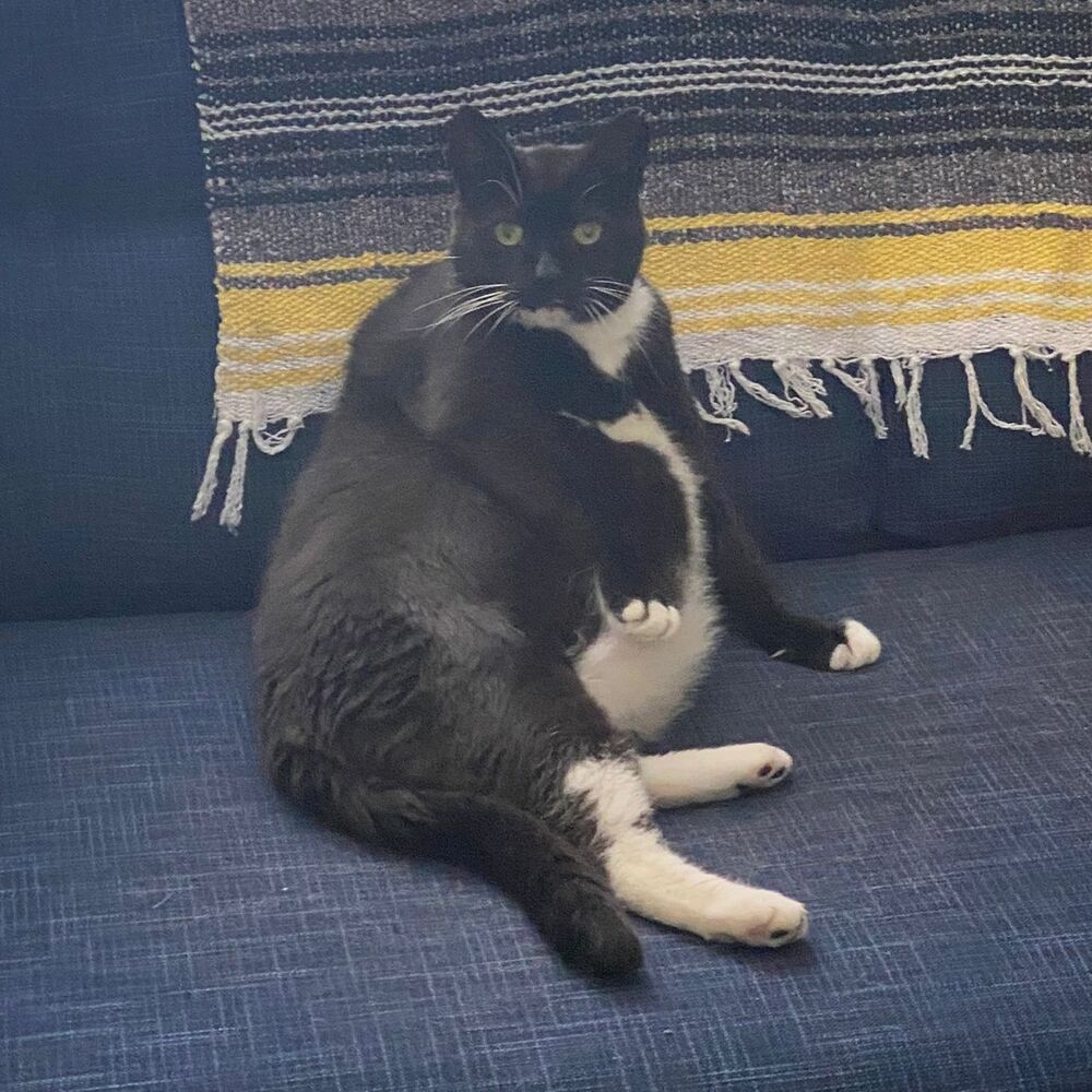 ‎sylis’s profile • Letterboxd