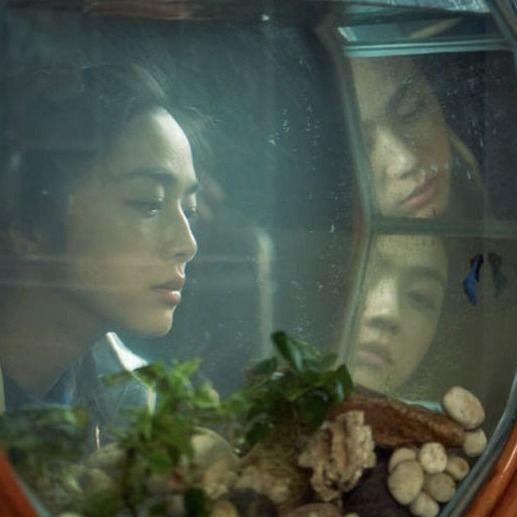 ‎elki’s profile • Letterboxd