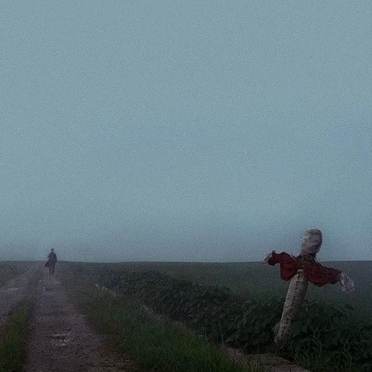 ‎Captain_Kay’s profile • Letterboxd