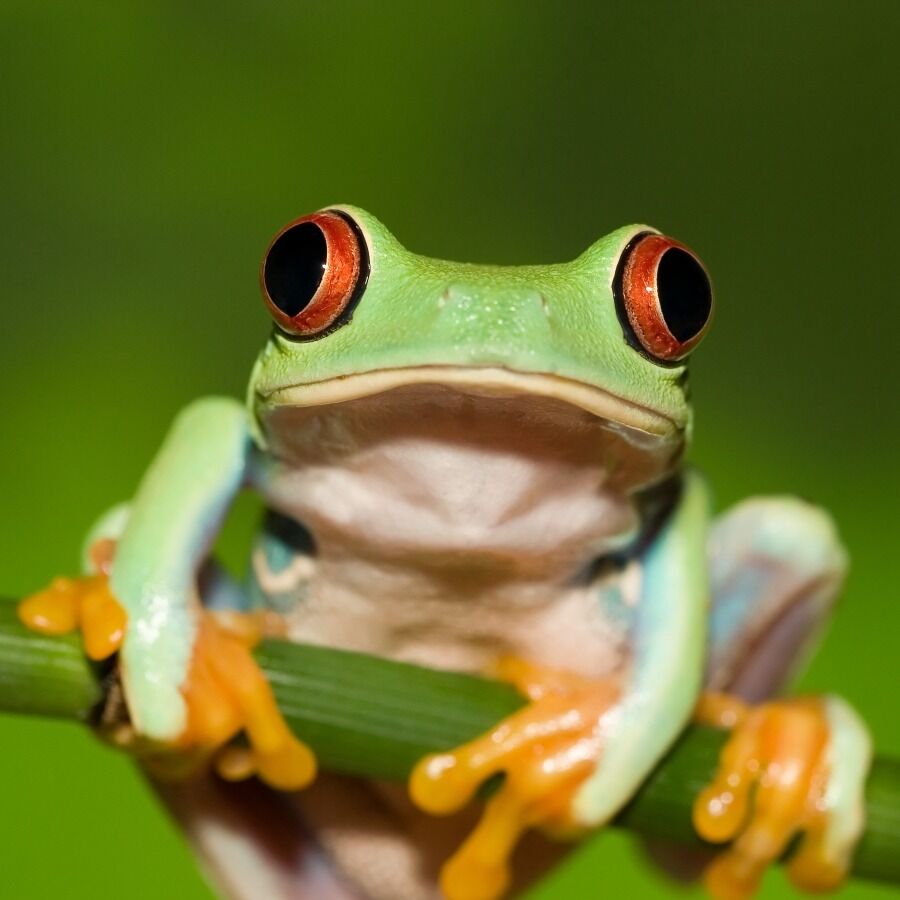 ‎Syd_Campbell’s profile • Letterboxd