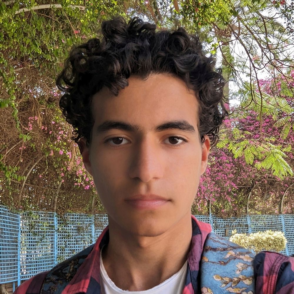 ‎Nour Nabil’s profile • Letterboxd