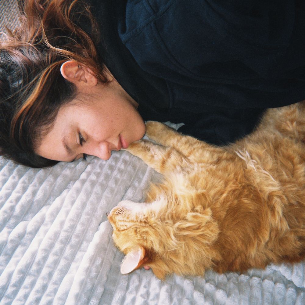 ‎Emilia’s profile • Letterboxd