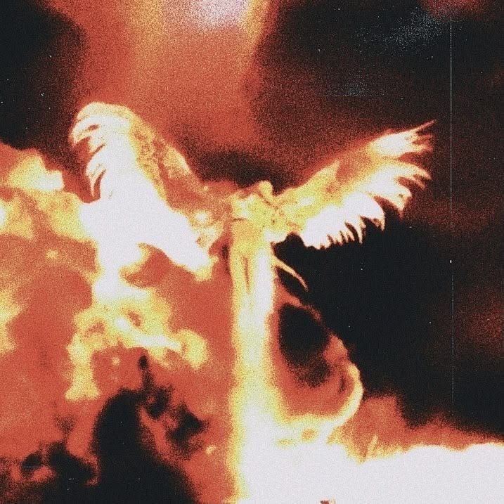 ‎lulululi’s profile • Letterboxd