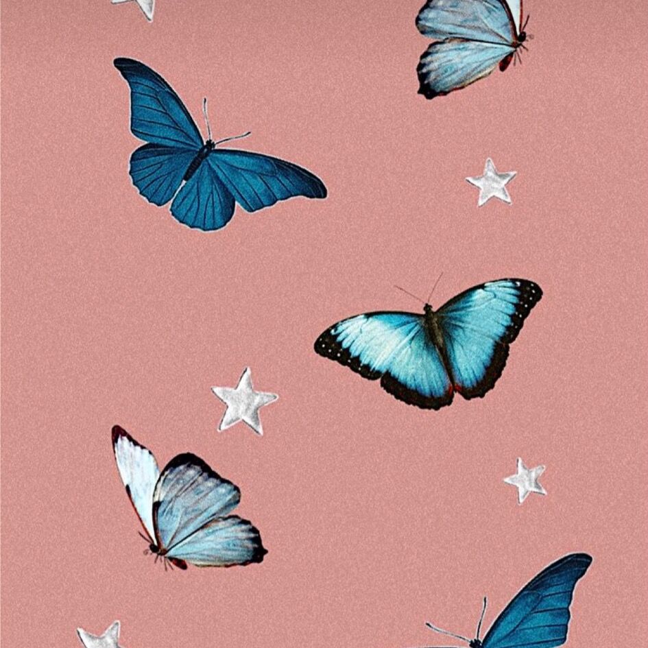 ‎Polly Darton’s profile • Letterboxd