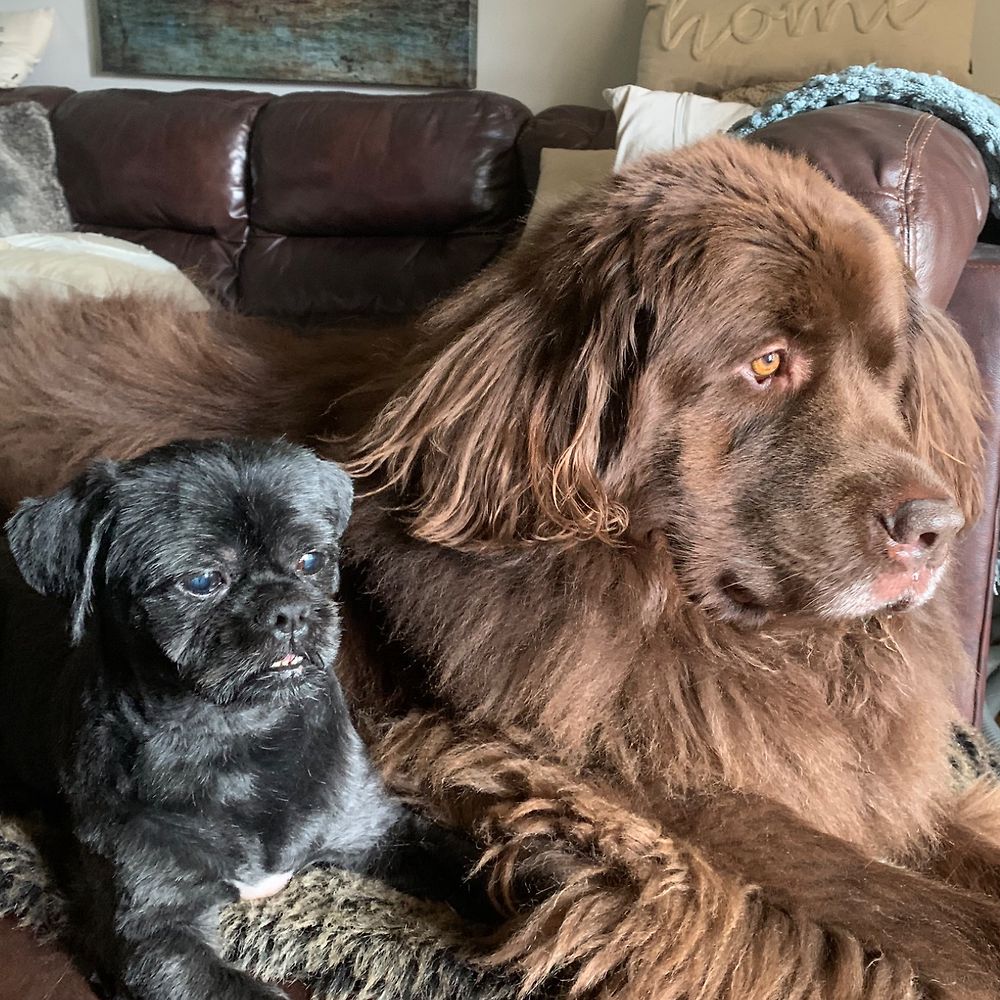 ‎Carter B’s profile • Letterboxd