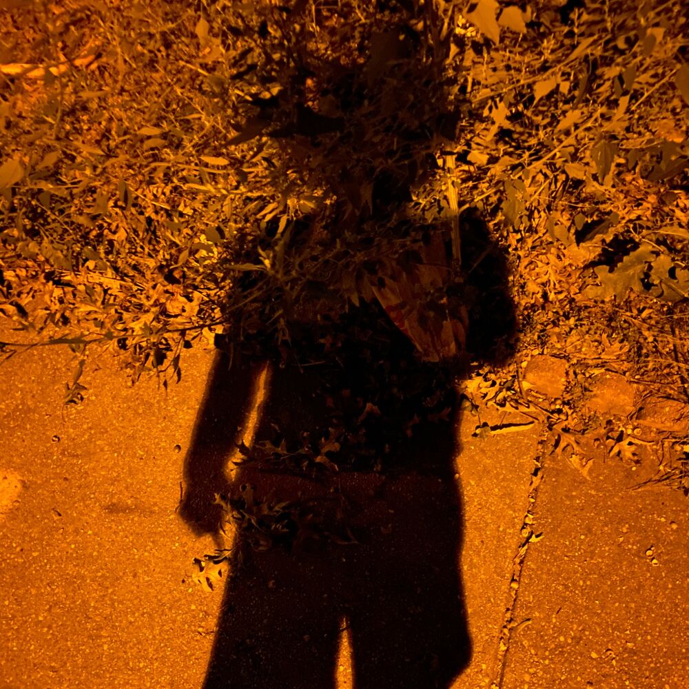 ‎krpf_a’s profile • Letterboxd