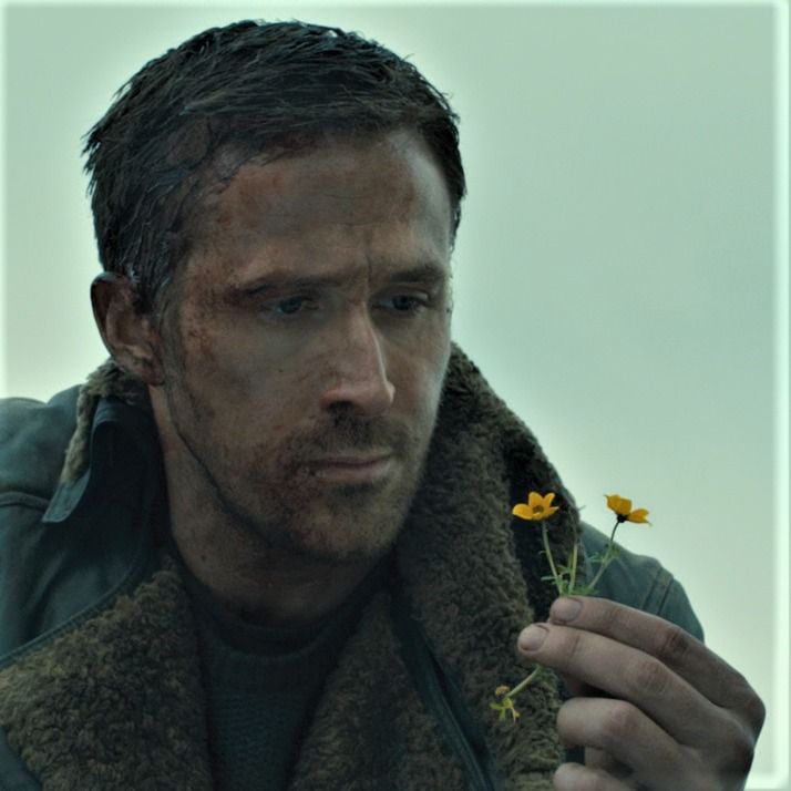 ‎Max_Renn_’s profile • Letterboxd