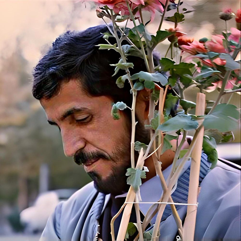 ‎Shawon Ahamad Srabon’s profile • Letterboxd