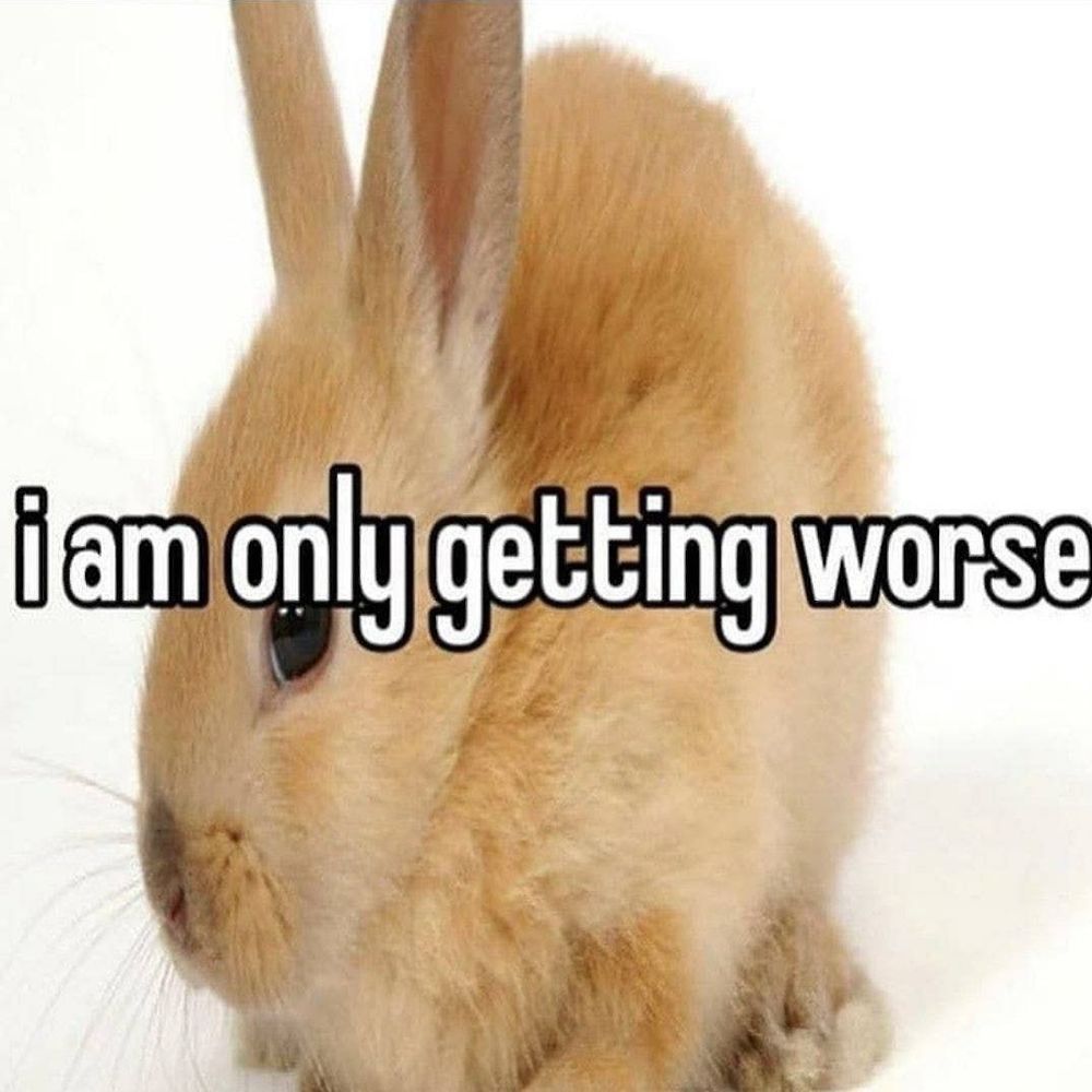 ‎reanu’s profile • Letterboxd