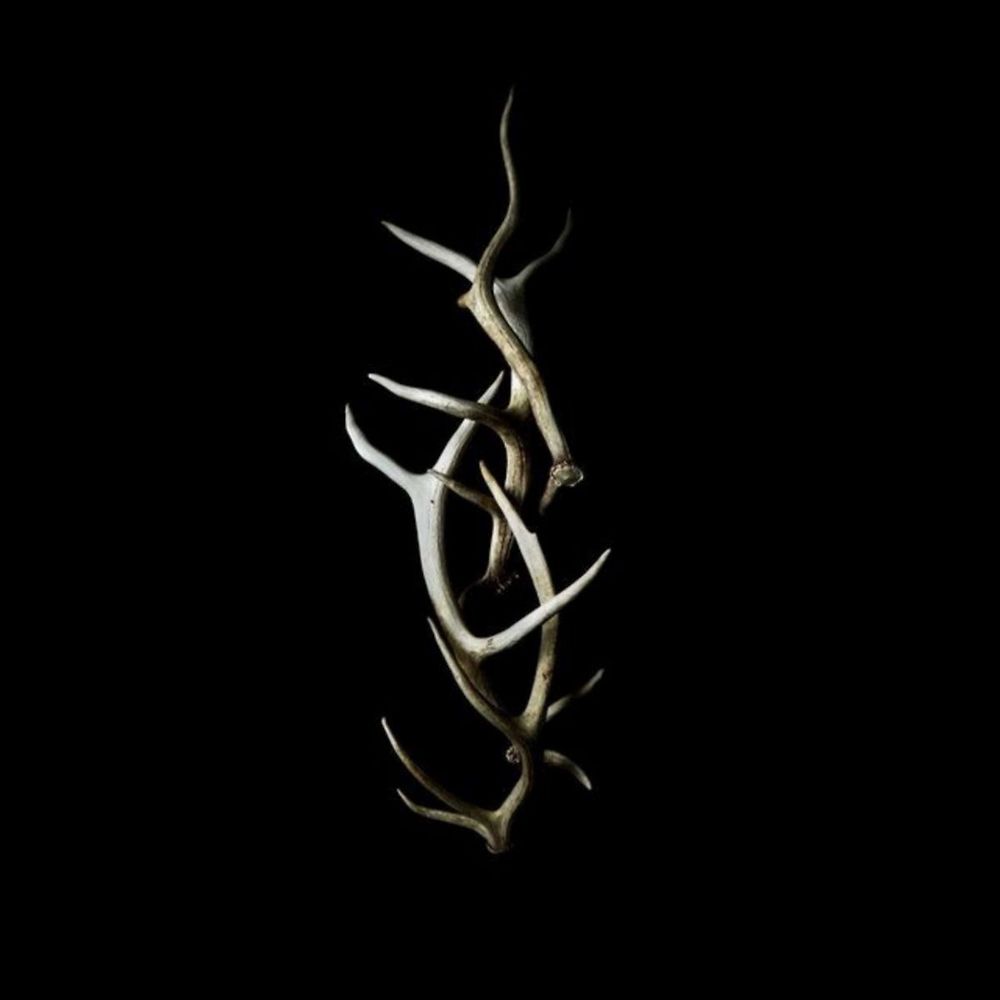‎notko’s profile • Letterboxd