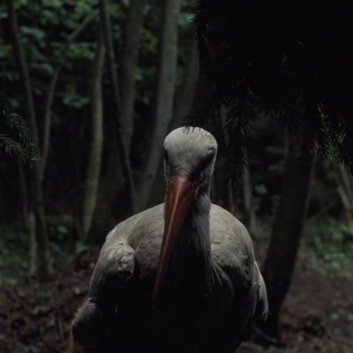 ‎gradon’s profile • Letterboxd