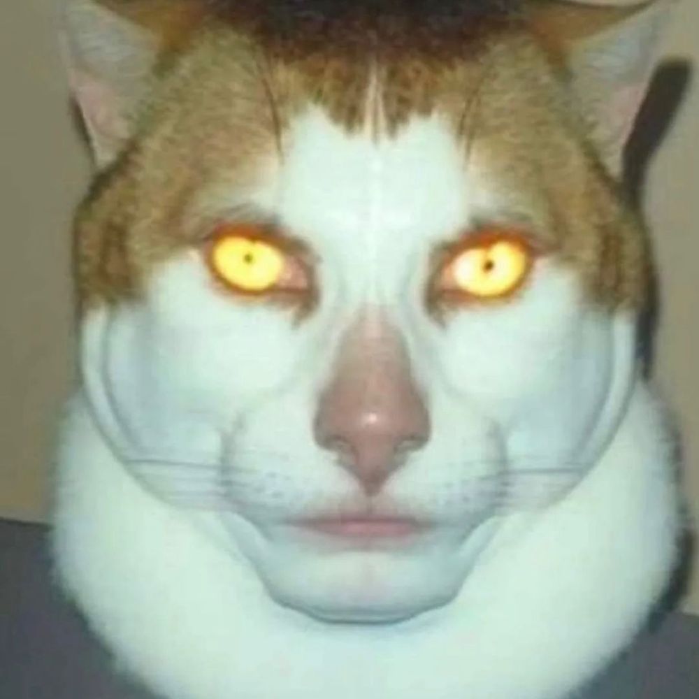 ‎Tray Clancy’s profile • Letterboxd