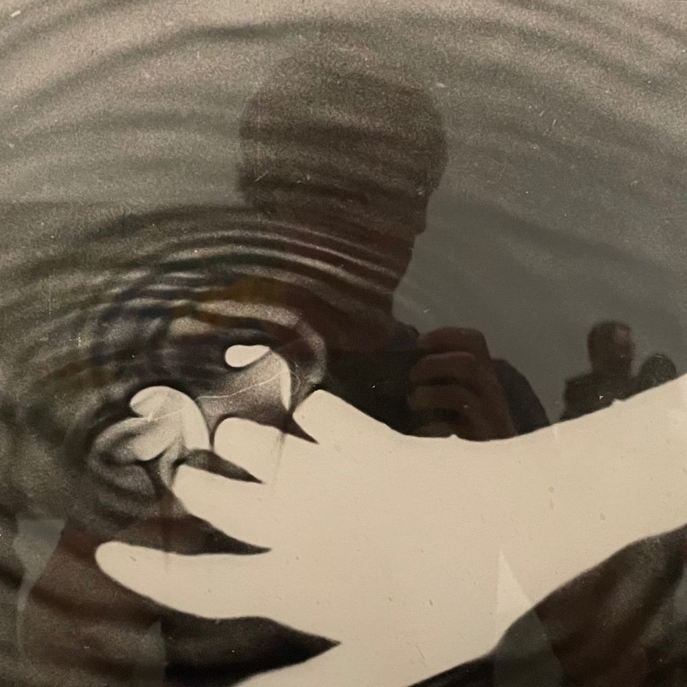 ‎Austin Smith’s profile • Letterboxd