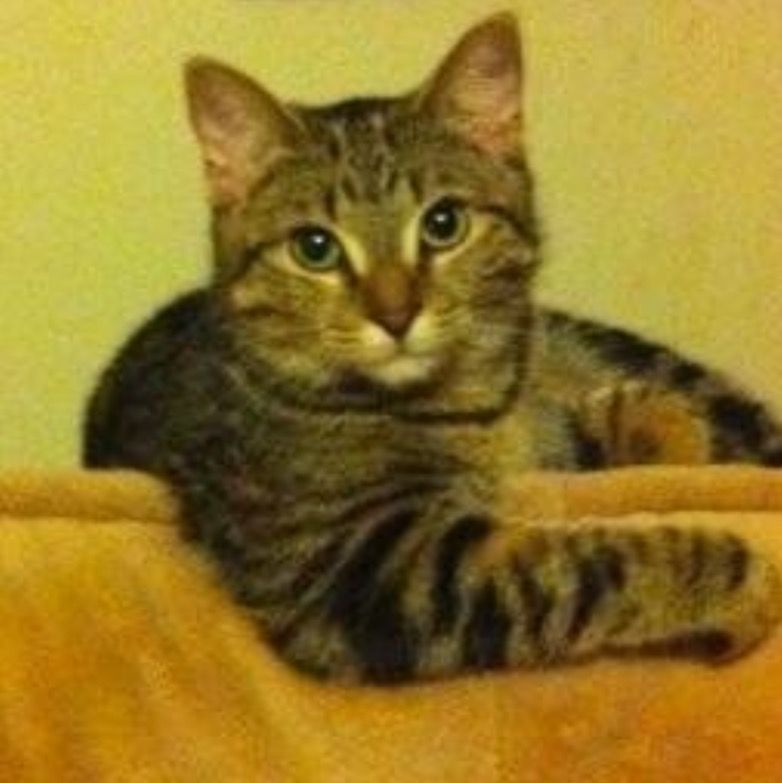 ‎IanB’s profile • Letterboxd