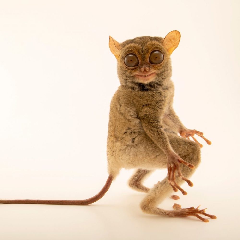 ‎kyky’s profile • Letterboxd