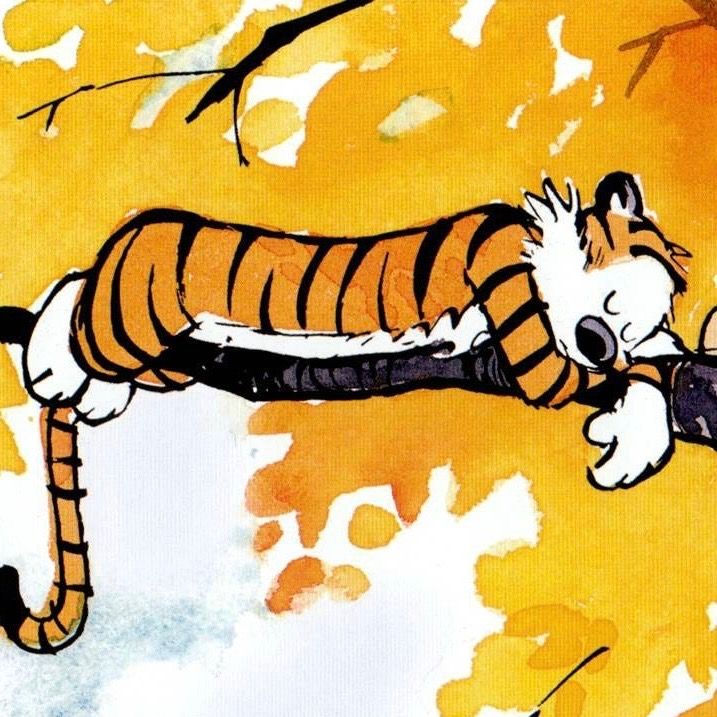 ‎Connor’s profile • Letterboxd