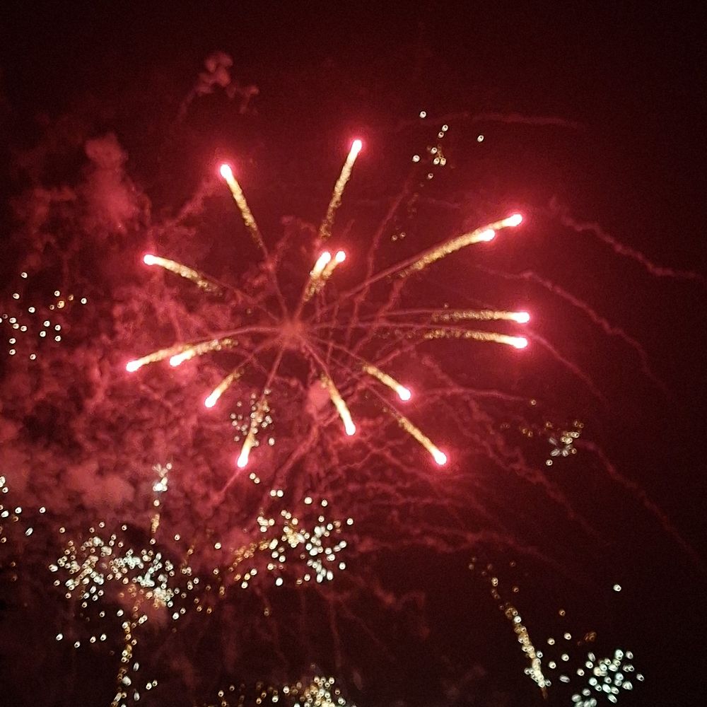 ‎Alexandra Harrison’s profile • Letterboxd