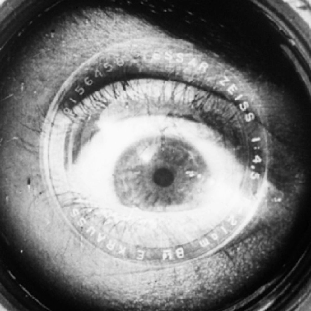 ‎filmbro’s profile • Letterboxd