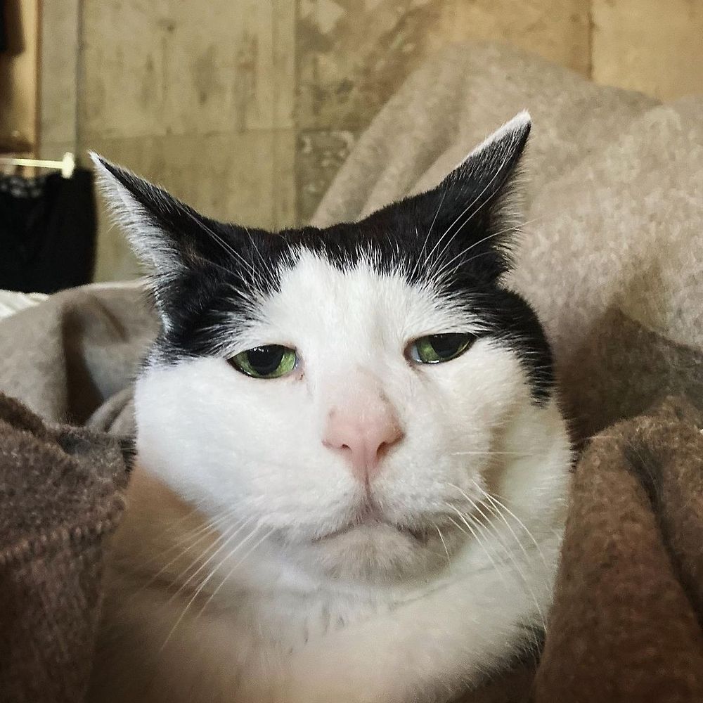 ‎jay’s profile • Letterboxd