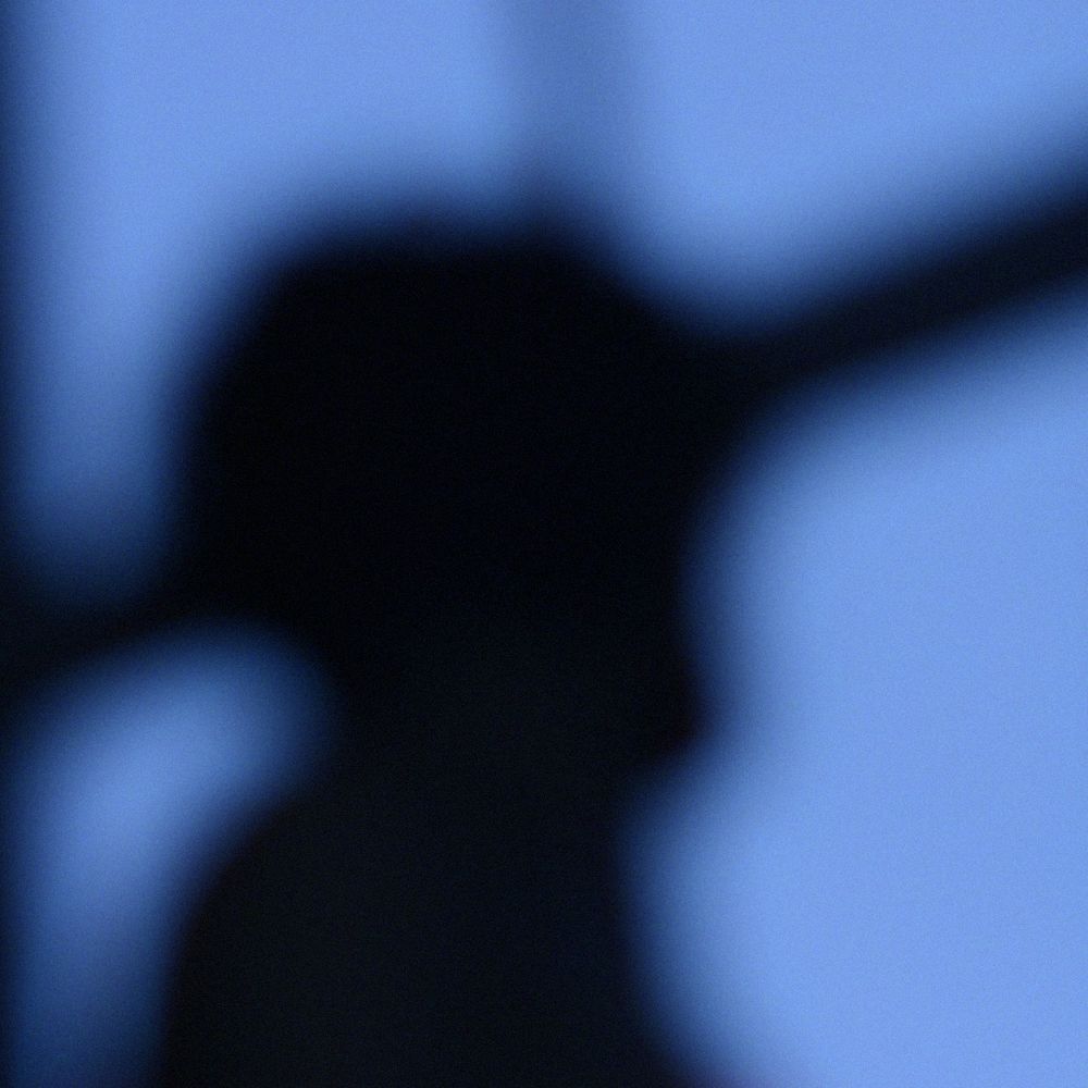 ‎tom’s profile • Letterboxd