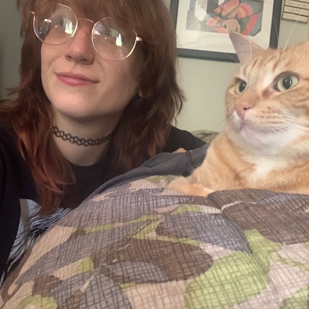 ‎Beefer_Madness’s profile • Letterboxd