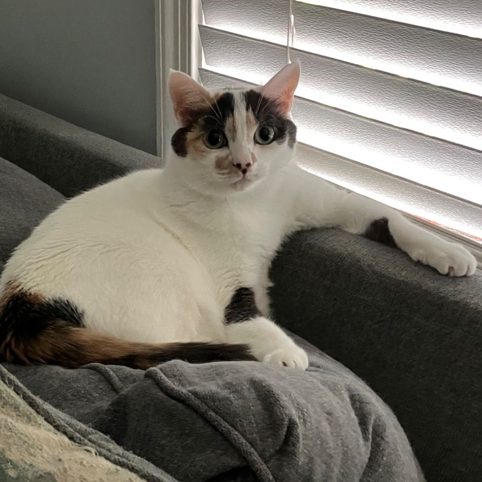 ‎Dennis Pinto’s profile • Letterboxd