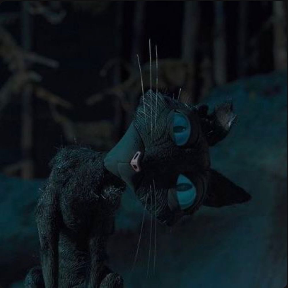 ‎tegan rose’s profile • Letterboxd