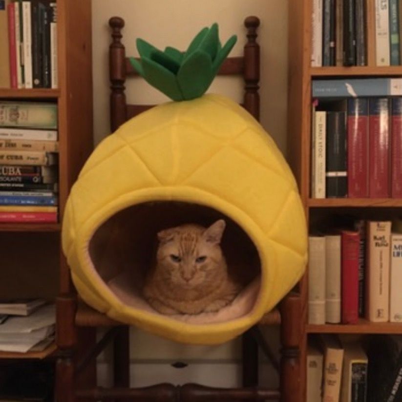 ‎semblable’s profile • Letterboxd