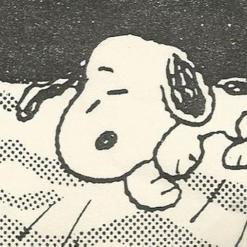 ‎tvisha’s profile • Letterboxd