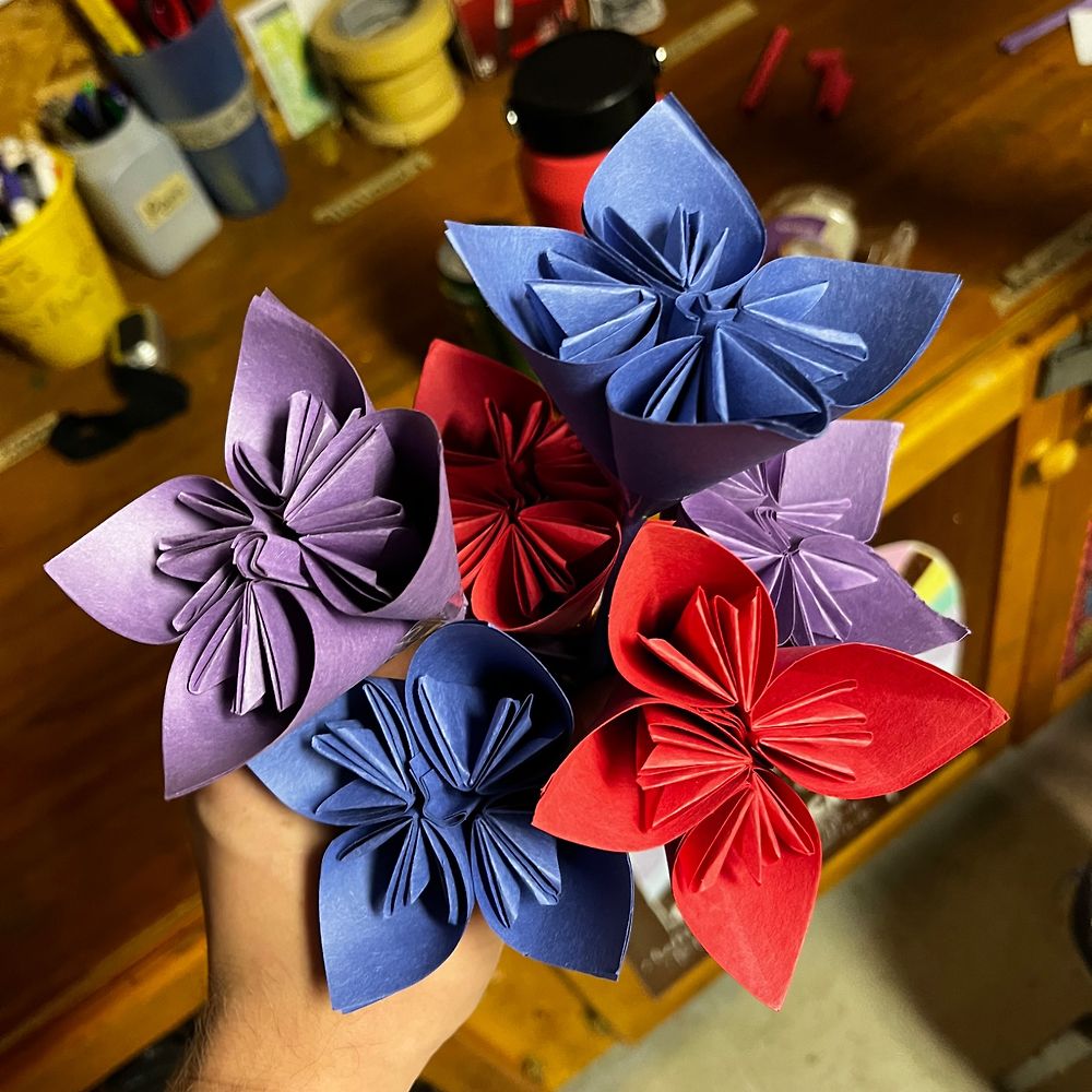 ‎Gentleman Bird’s profile • Letterboxd