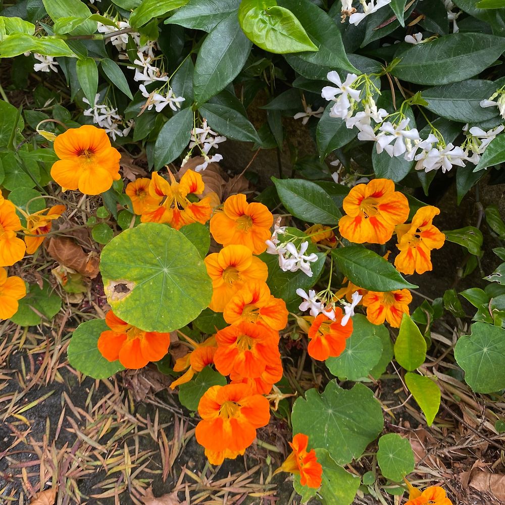 ‎Tom’s profile • Letterboxd