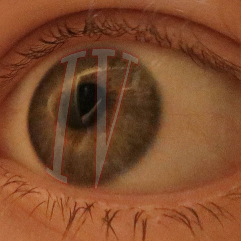 ‎connor’s profile • Letterboxd