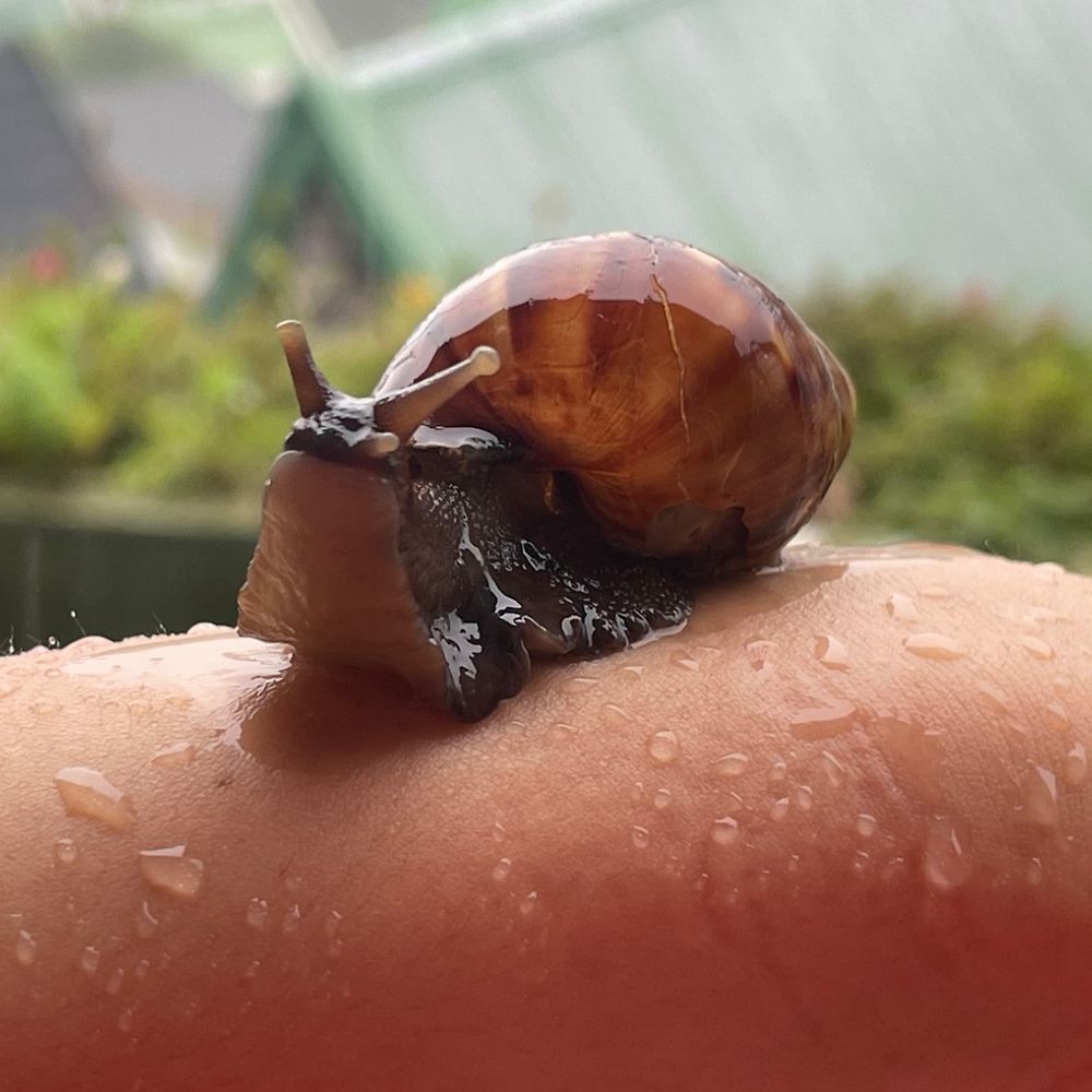 ‎zoemieu’s profile • Letterboxd