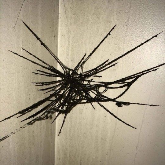 ‎melii’s profile • Letterboxd