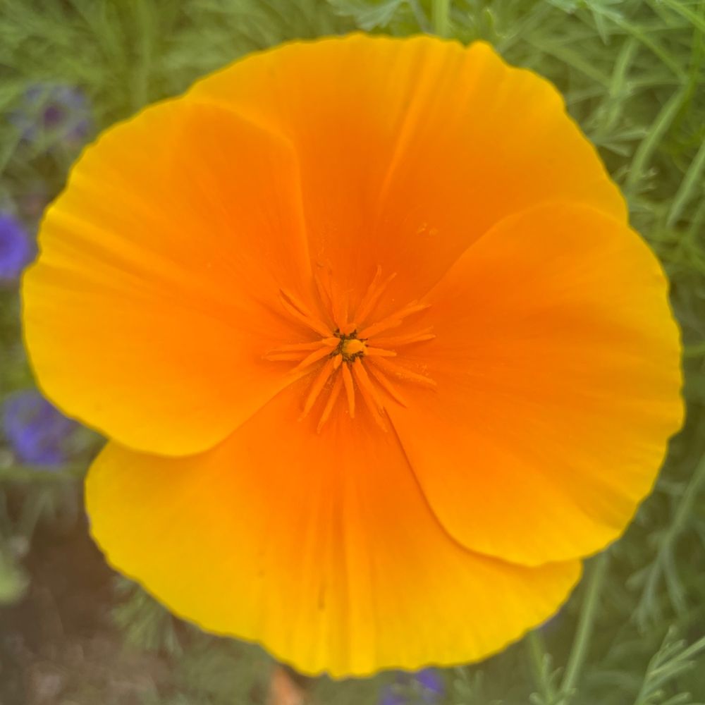 ‎Conner Wilson’s profile • Letterboxd