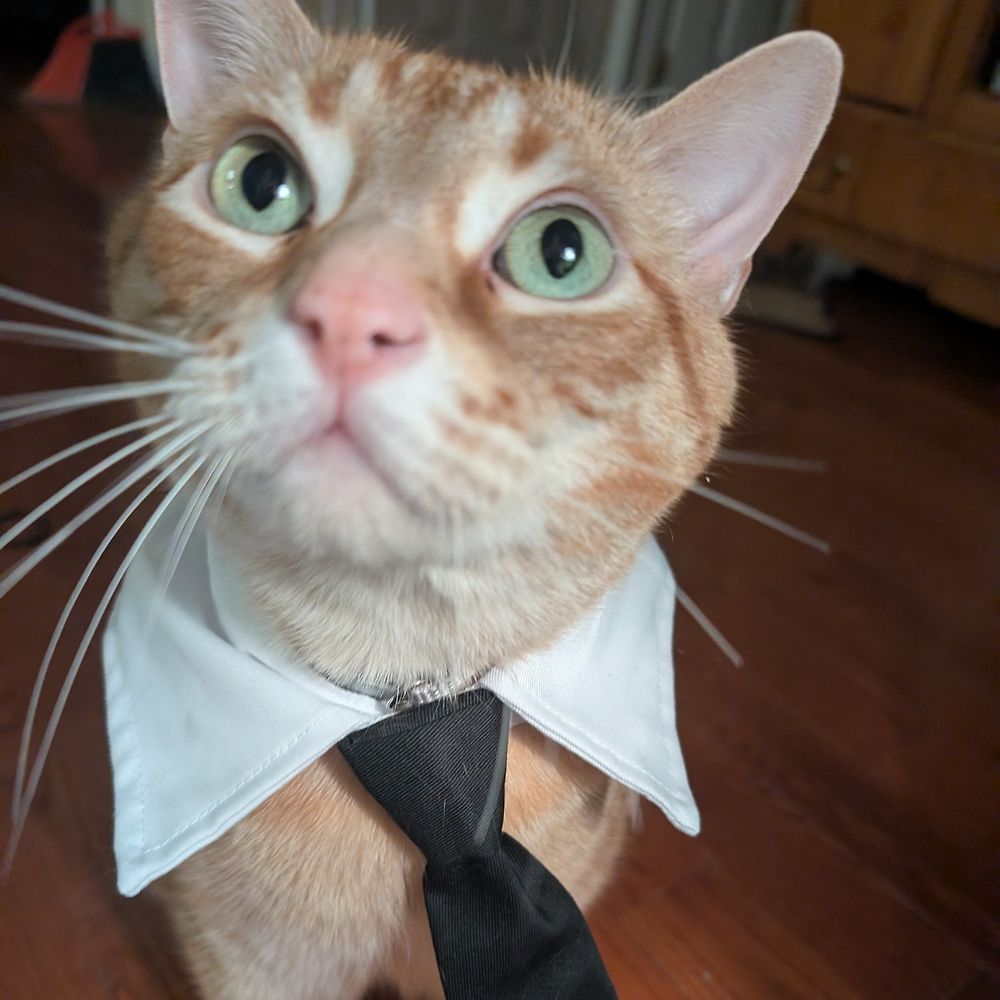 max)’s profile • Letterboxd