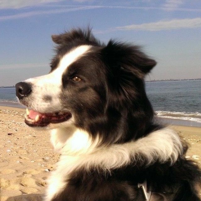 ‎sof’s profile • Letterboxd