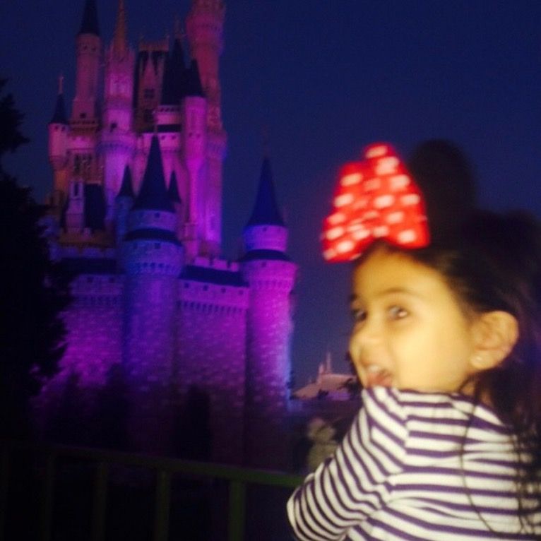 ‎stelly’s profile • Letterboxd