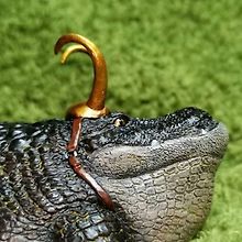 ‎Jasiq_99’s profile • Letterboxd