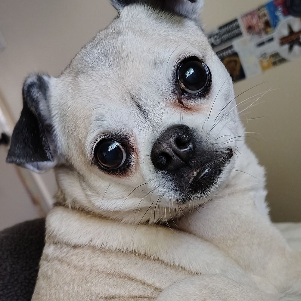 ‎Laura P.’s profile • Letterboxd