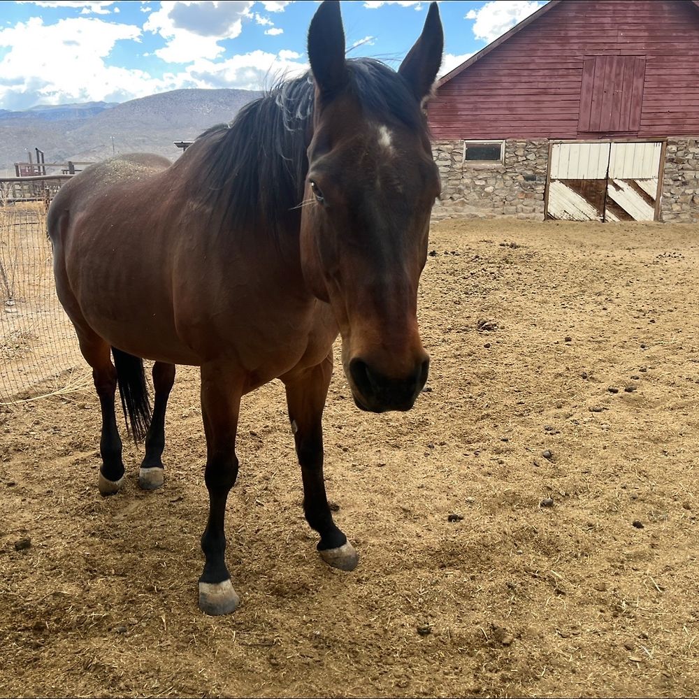 ‎maelie 😱’s profile • Letterboxd