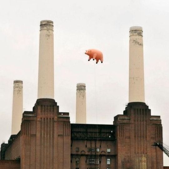 ‎Louis Turner’s profile • Letterboxd