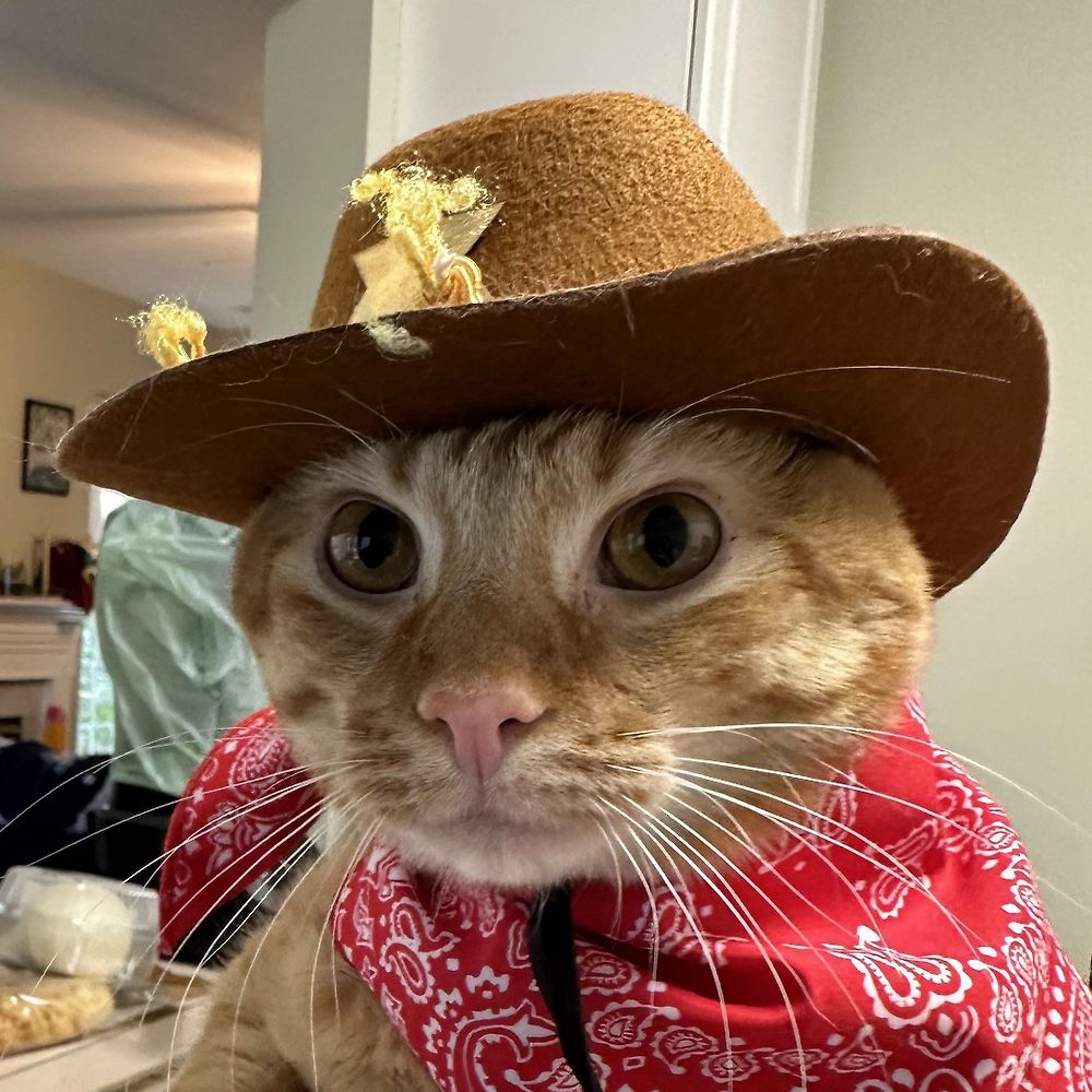 ‎Damián’s profile • Letterboxd