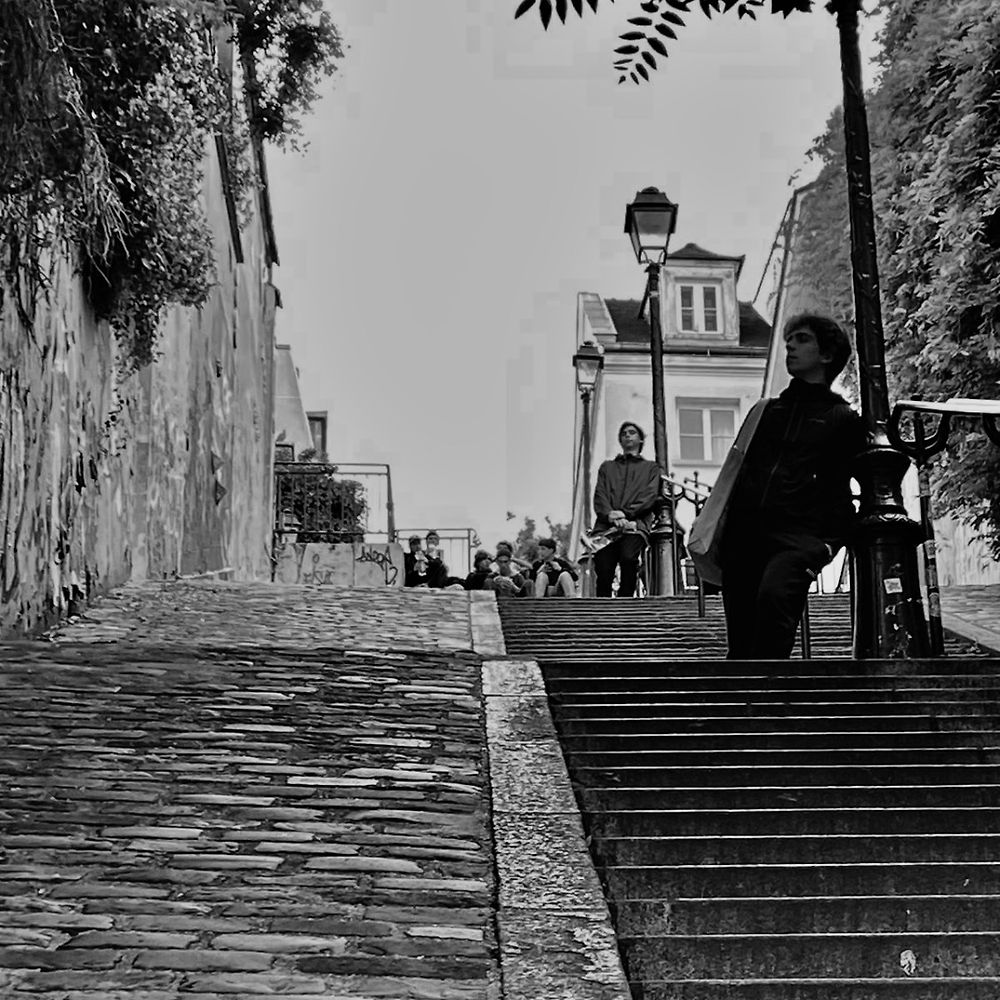 ‎lucsor perey’s profile • Letterboxd