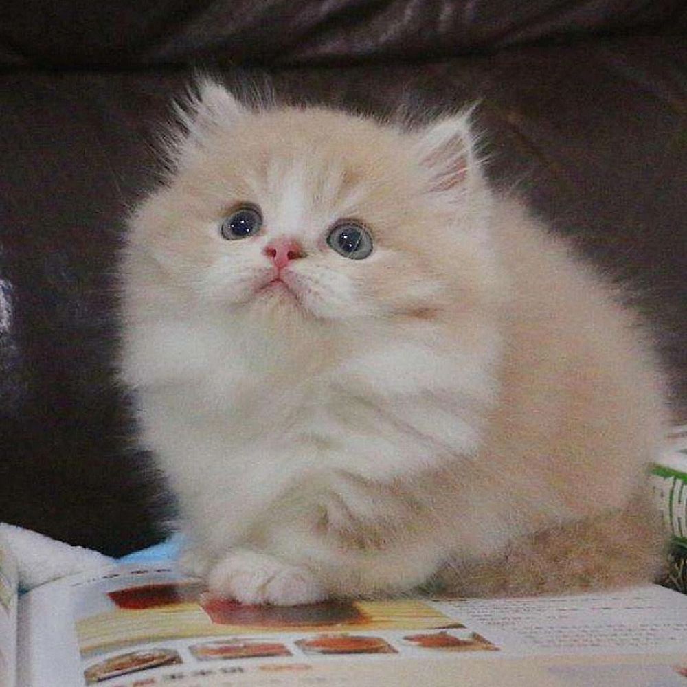 ‎666haha9’s profile • Letterboxd