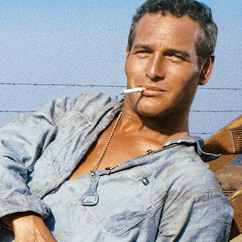 ‎Cole Brewer’s profile • Letterboxd