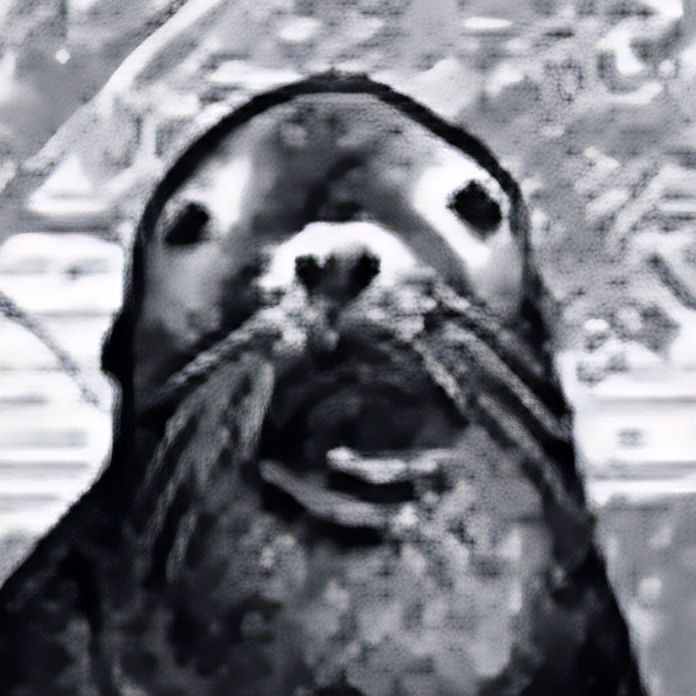 ‎gabriel thompson’s profile • Letterboxd