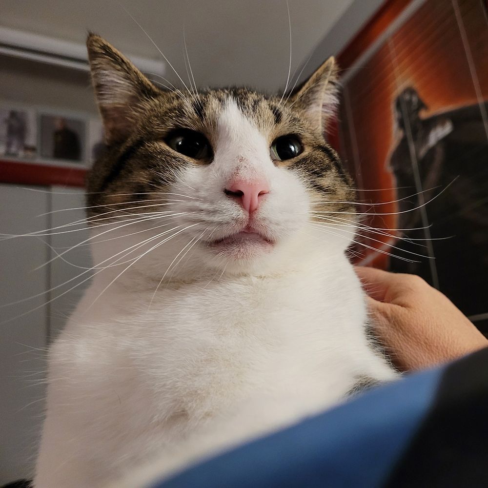 ‎Ray Walton’s profile • Letterboxd